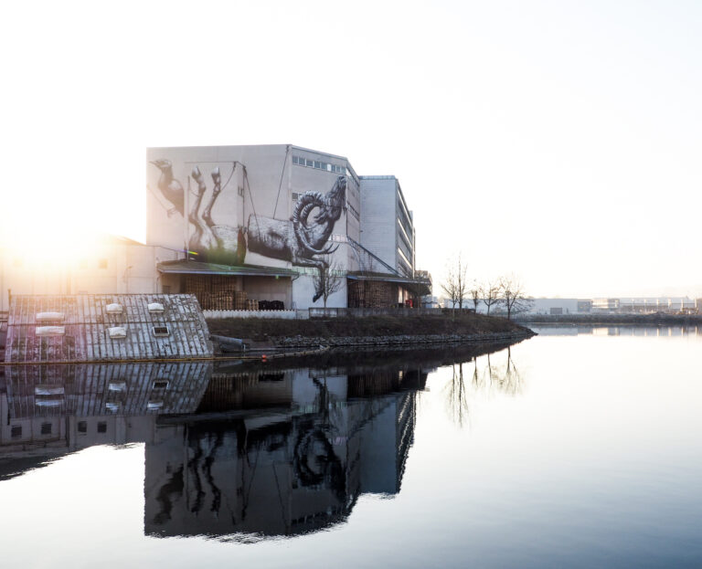 Kunterbunte Stahlstadt: Mural Harbor Linz | No Kangaroos - Der ...